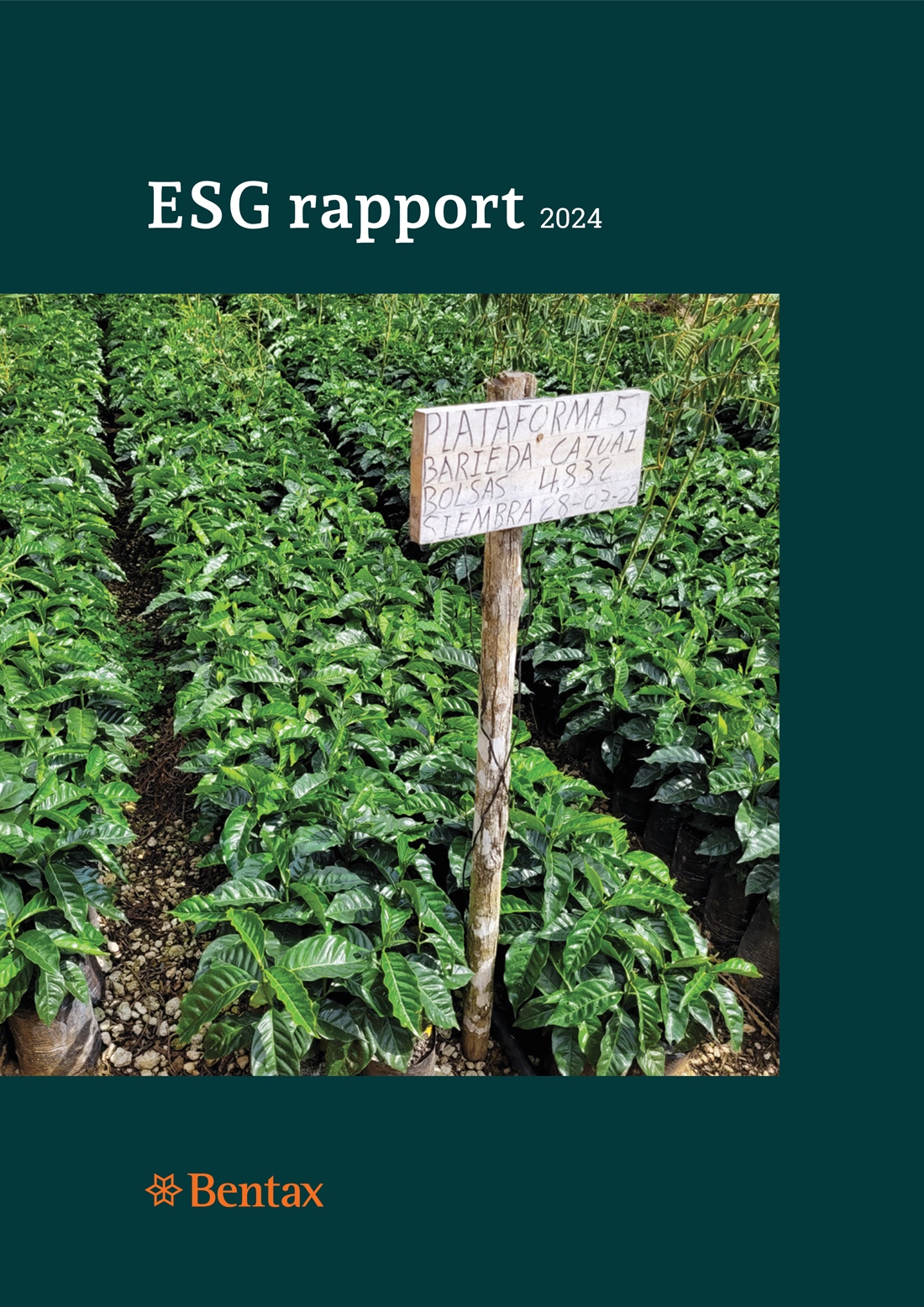 bentax_esg_rapport_single_3