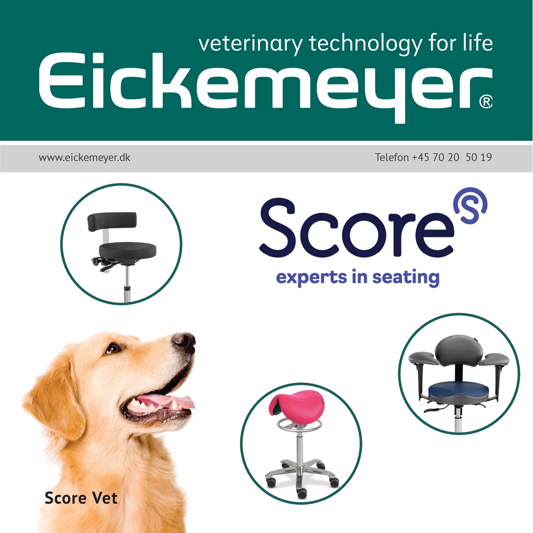 score_vet_2025